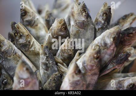 the fishmarket in the Riga Centralmarket in the city of riga in latvia ...