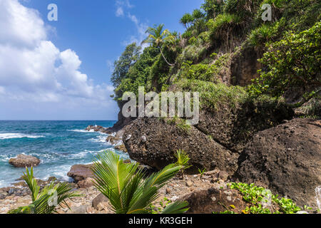 scenic landscape in Dominica near town Petite Soufriere Stock Photo - Alamy