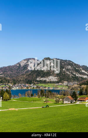 Lake Fuschl with beautiful alps panorama and green meadow Stock Photo ...