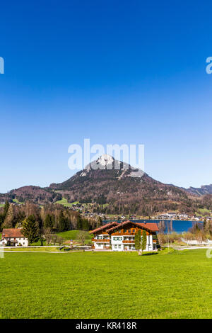 Lake Fuschl with beautiful alps panorama and green meadow Stock Photo ...