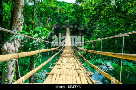 View of Sipatan Twin Hanging Bridge over Loboc river on Bohol island ...