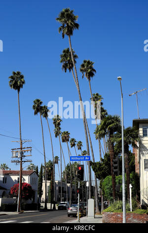 Tall palm trees growing on an exotic tropical island on background of ...