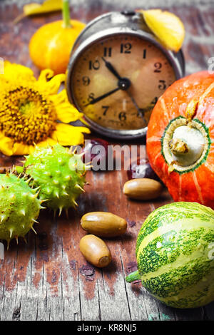 Autumn decorative pumpkin,chestnuts and retro alarm clock Stock Photo ...