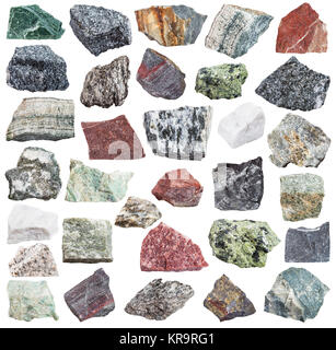 collection of metamorphic rock specimens - amphibolite, migmatite ...