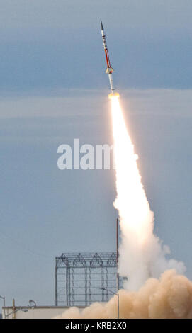 Terrier improved-Malemute 2 Stock Photo - Alamy