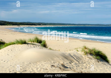 Sand dunes and beach, Wairo Beach, Lake Tabourie, New South Wales ...