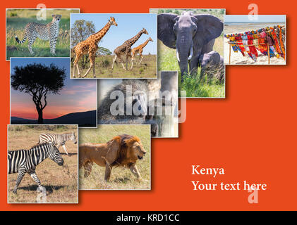 Collage from images of wildlife and beautiful sunset in the Kenya ...