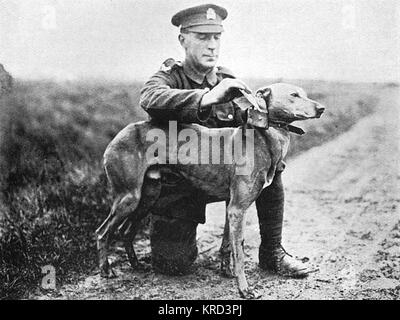 First World War WW1 British Rifleman Reenactor Stock Photo - Alamy