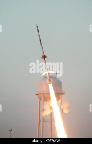 Talos Terrier Oriole 4 Stock Photo - Alamy