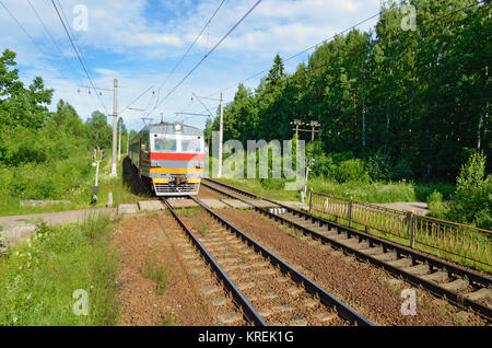 Train tracks recede into the distance through the thick forest Stock ...