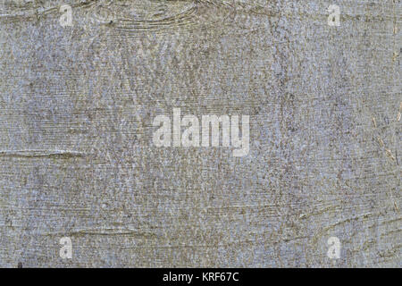 Buche, Rot-Buche, Rotbuche, Rinde, Borke, Stamm, Baumstamm, Fagus ...