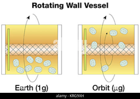 Rotary Cell Culture System Stock Photo - Alamy