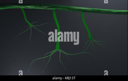 Microscopic view of animal cell Stock Photo - Alamy