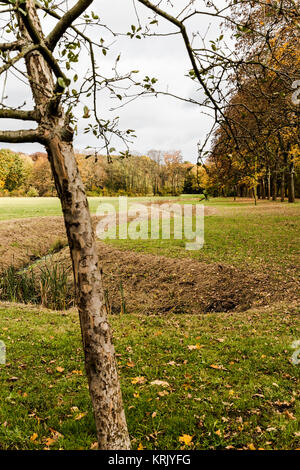 Autumn trees with sparse yellowish leaves with the sun between them ...