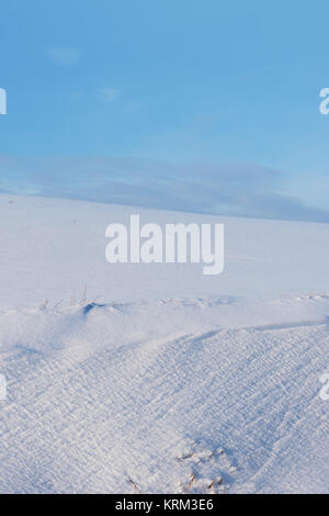 White land in sunny winter day Stock Photo - Alamy