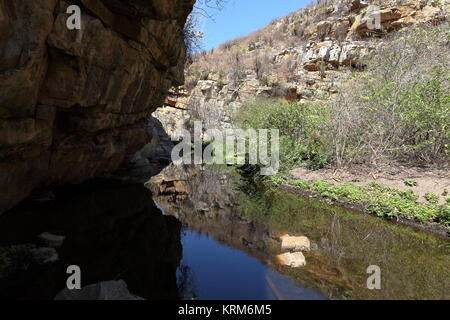 the landscape of the caatinga in brazil Stock Photo - Alamy
