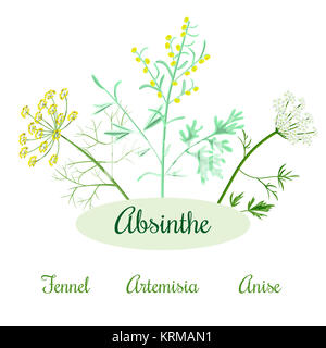 Herbs absinthe ingredients Stock Photo - Alamy