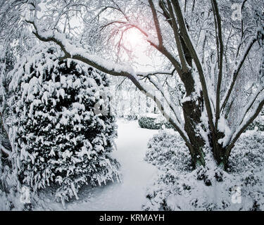 Winter garden scene Stock Photo - Alamy