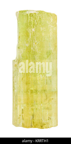 specimen of natural heliodor yellow beryl crystal cutout on white ...