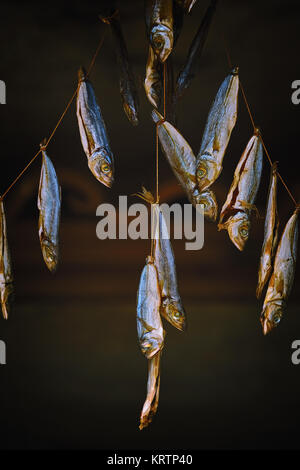 Dried fish hanging on a rope Stock Photo - Alamy