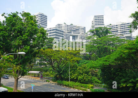 View of the Southern Ridges, a trail connecting parks along the ...
