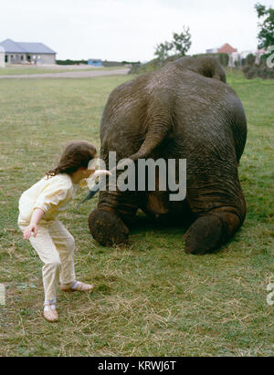 Child pulls elephant on tail, England, Great Britain Stock Photo - Alamy