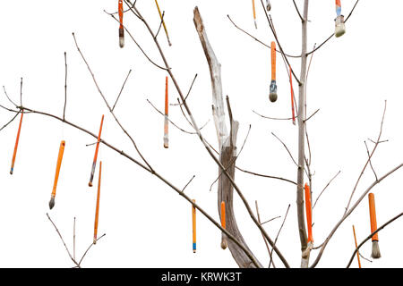 Small tree with lots of old brushes hanging on in white back Stock ...