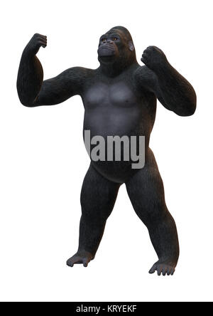 big and strong monkey is gorilla Stock Photo - Alamy