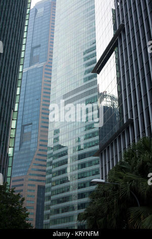 Tall white frame house peeking over tropical foliage by taller palm ...