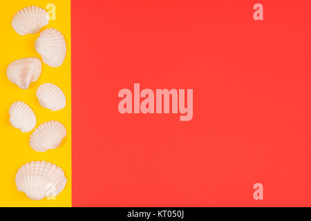 Beach seashells on colored background. Mock up with copy space Stock ...