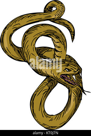 Viper Coiled Ready To Pounce Drawing Stock Photo - Alamy