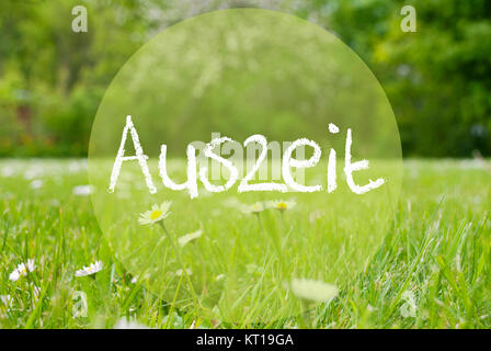 Gras Meadow, Daisy Flowers, Auszeit Means Downtime Stock Photo - Alamy