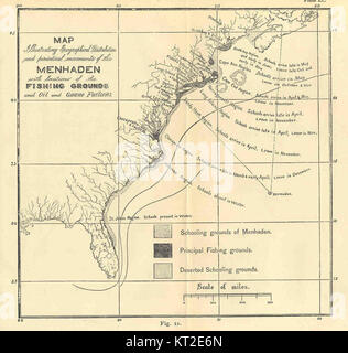 Vintage American map, Showing the distribution of the Slave Population ...