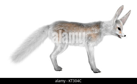 3D rendering of a fennec fox isolated on white background Stock Photo ...