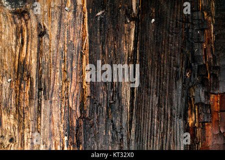 old rotting wood,texture,nature,material Stock Photo - Alamy