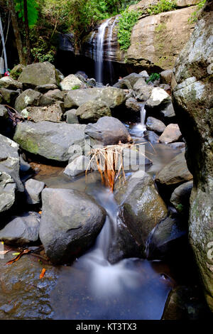 Serenity Falls at Buderim Forest Park Stock Photo - Alamy