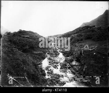 A photograph of Kalihi Valley, taken by Brother Bertram, showcasing the ...