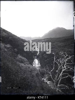 A photograph of Kalihi Valley, taken by Brother Bertram, showcasing the ...