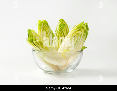 cross-section of Belgian endive (white Common chicory) isolated on ...