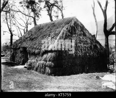 This photograph by Brother Bertram captures a Native Grass House, a ...