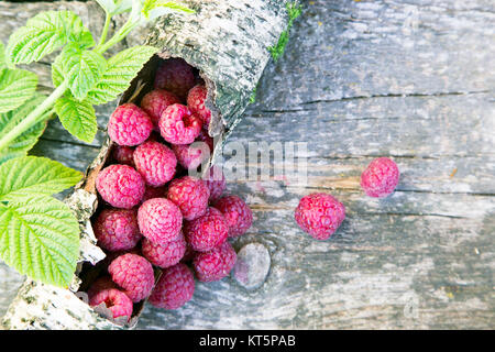 Raspberry on bark. Selective focus Stock Photo - Alamy