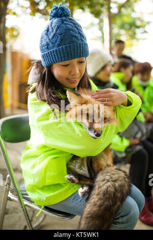 Young woman holding fennec fox Stock Photo - Alamy
