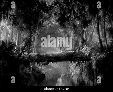 A promotional image from the 1932 film 'Freaks,' featuring performers ...