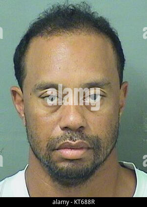 This photo of Tiger Woods was taken after his arrest in May 2017, a ...