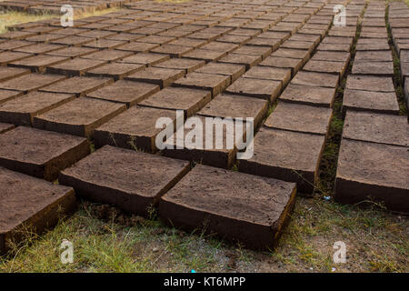 Drying adobe bricks on the ground brown Stock Photo - Alamy