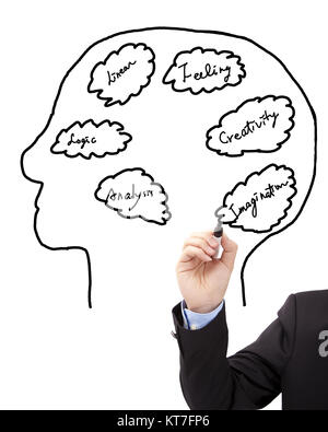 Businessman's hand draw brain concept diagram Stock Photo - Alamy