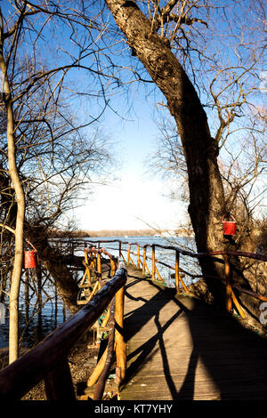 Serene Garden Pathway with Wooden Boardwalk and Weeping Willow Stock ...