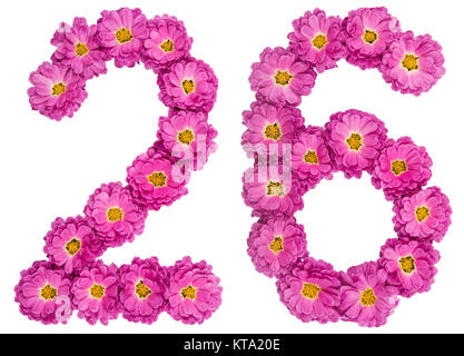 Arabic numeral 26, twenty six, from blue forget-me-not flowers Stock ...