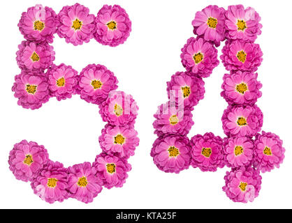 Arabic numeral 54, fifty four, from yellow flowers of rose, isolated on ...