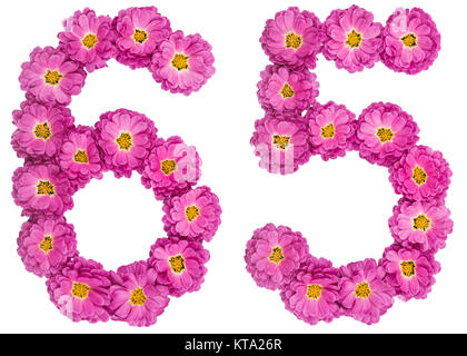 Arabic numeral 65, sixty five, from flowers of viola, isolated on white ...